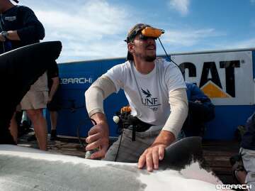 Gulf great white shark Katharine heading toward northeast