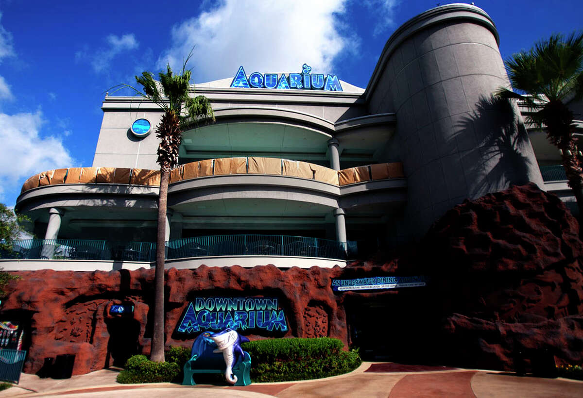 Yelp reviewers dish on Houston's attractions