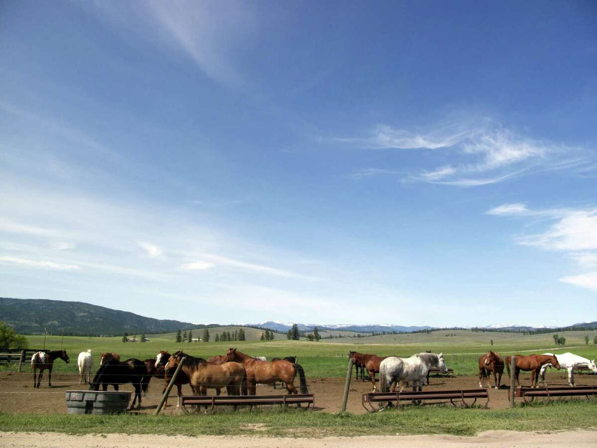 Montana resort is a luxurious ranch respite for Texans