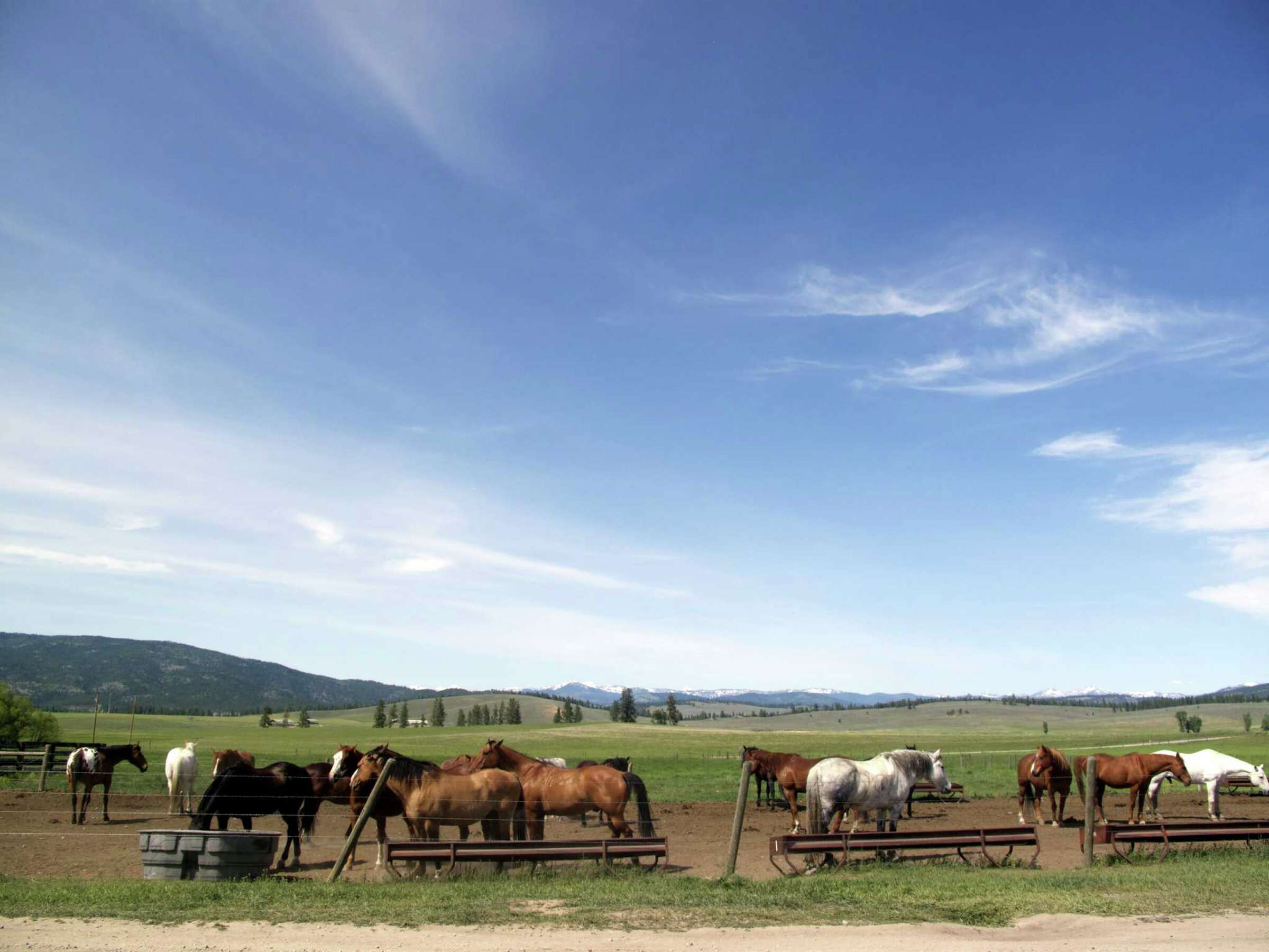 Montana resort is a luxurious ranch respite for Texans