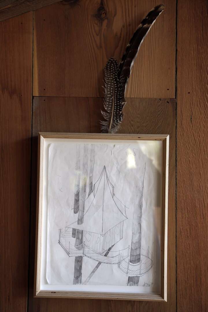 S.F.'s Jay Nelson builds tree houses as works of art