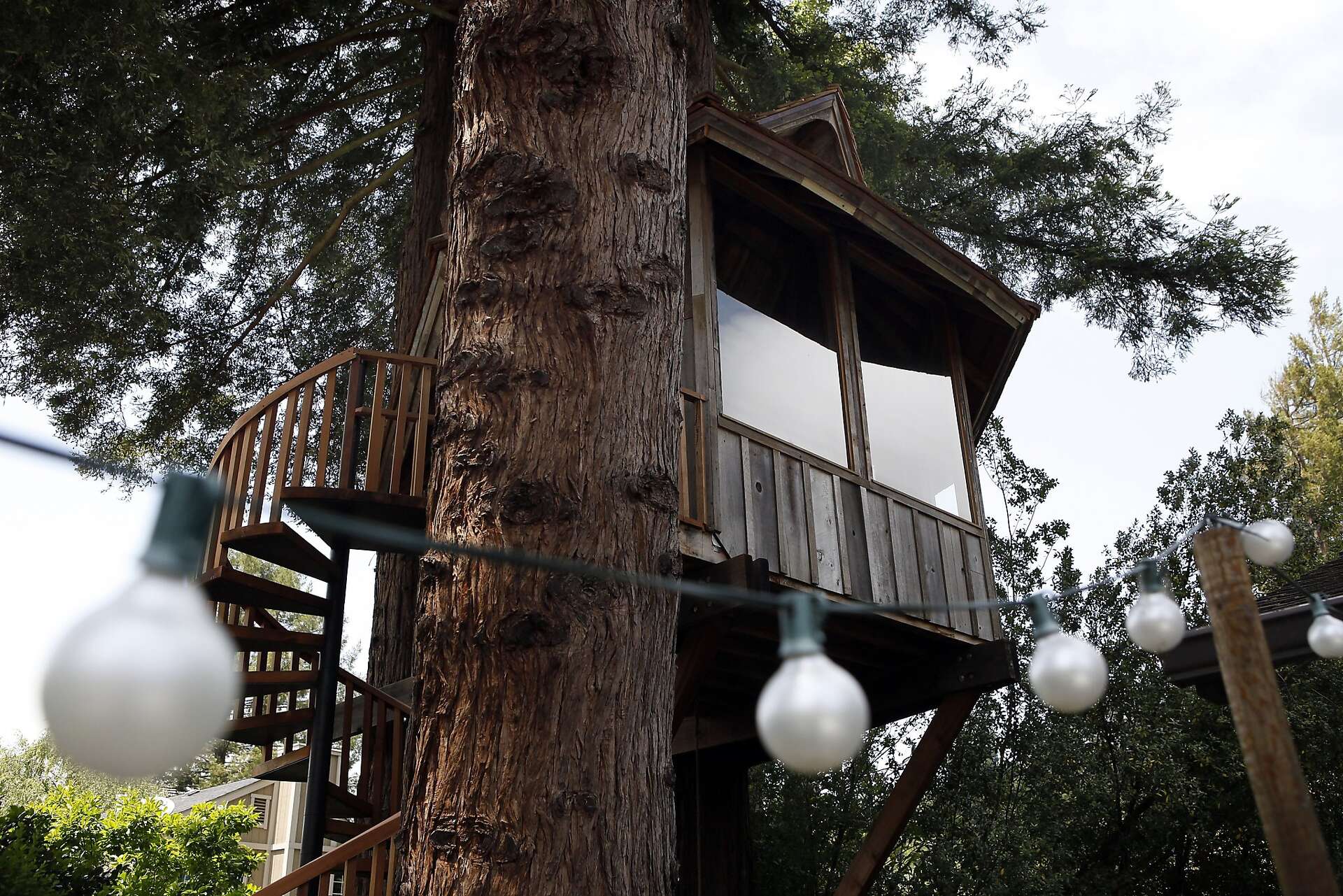 S.F.'s Jay Nelson builds tree houses as works of art
