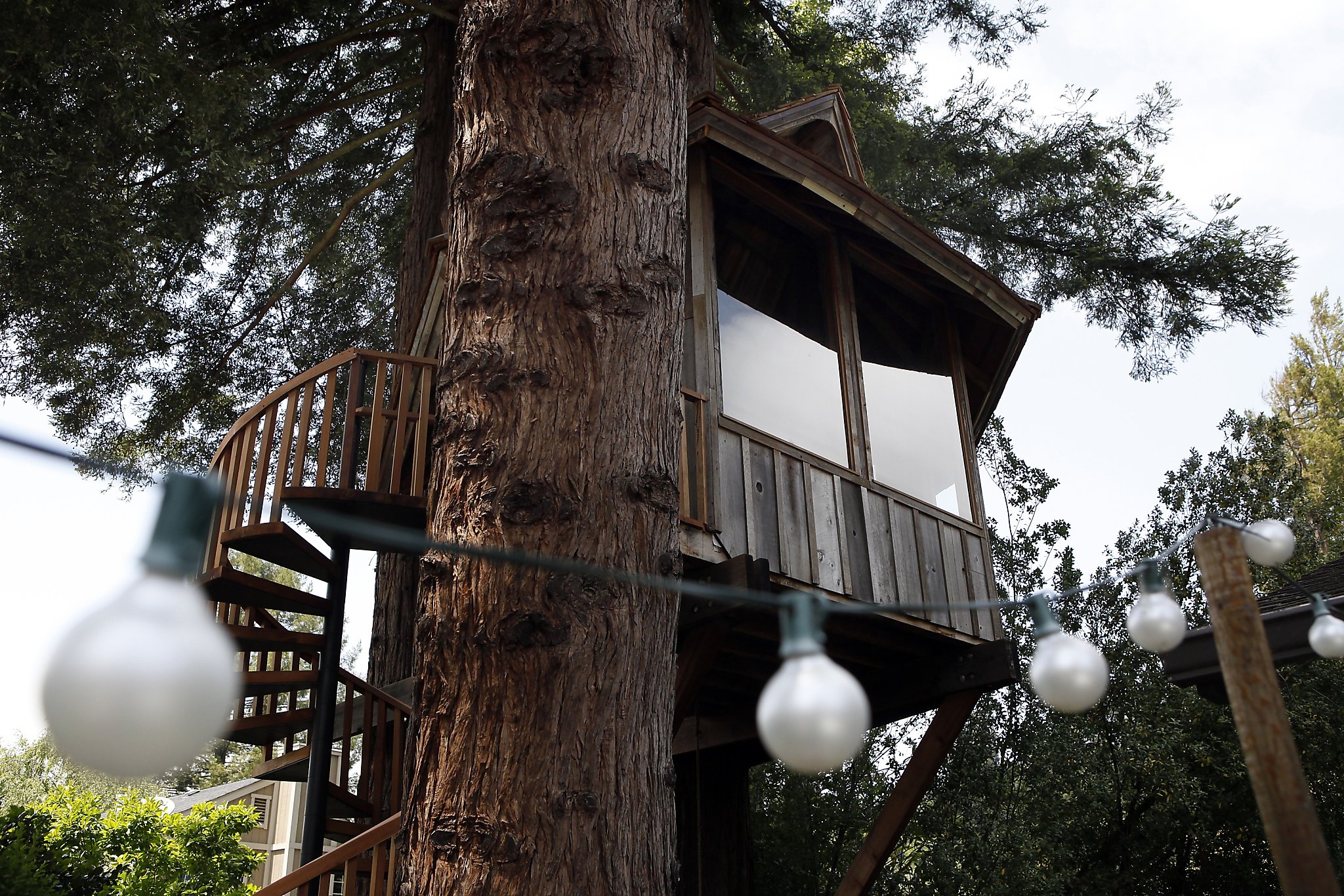S.F.'s Jay Nelson builds tree houses as works of art