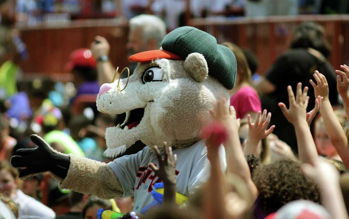 Missed chances cost 'Cats