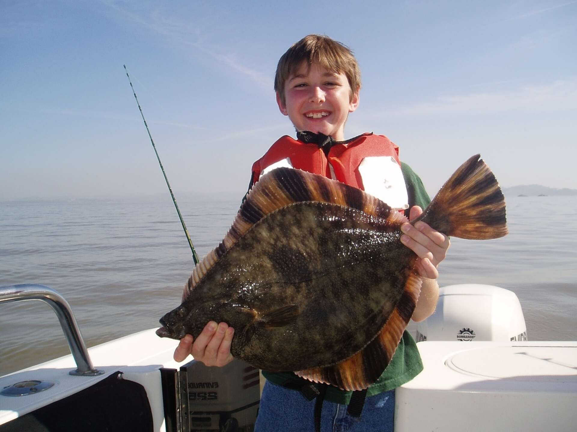 Seafood Watch: 21 fish species now sustainable enough to eat