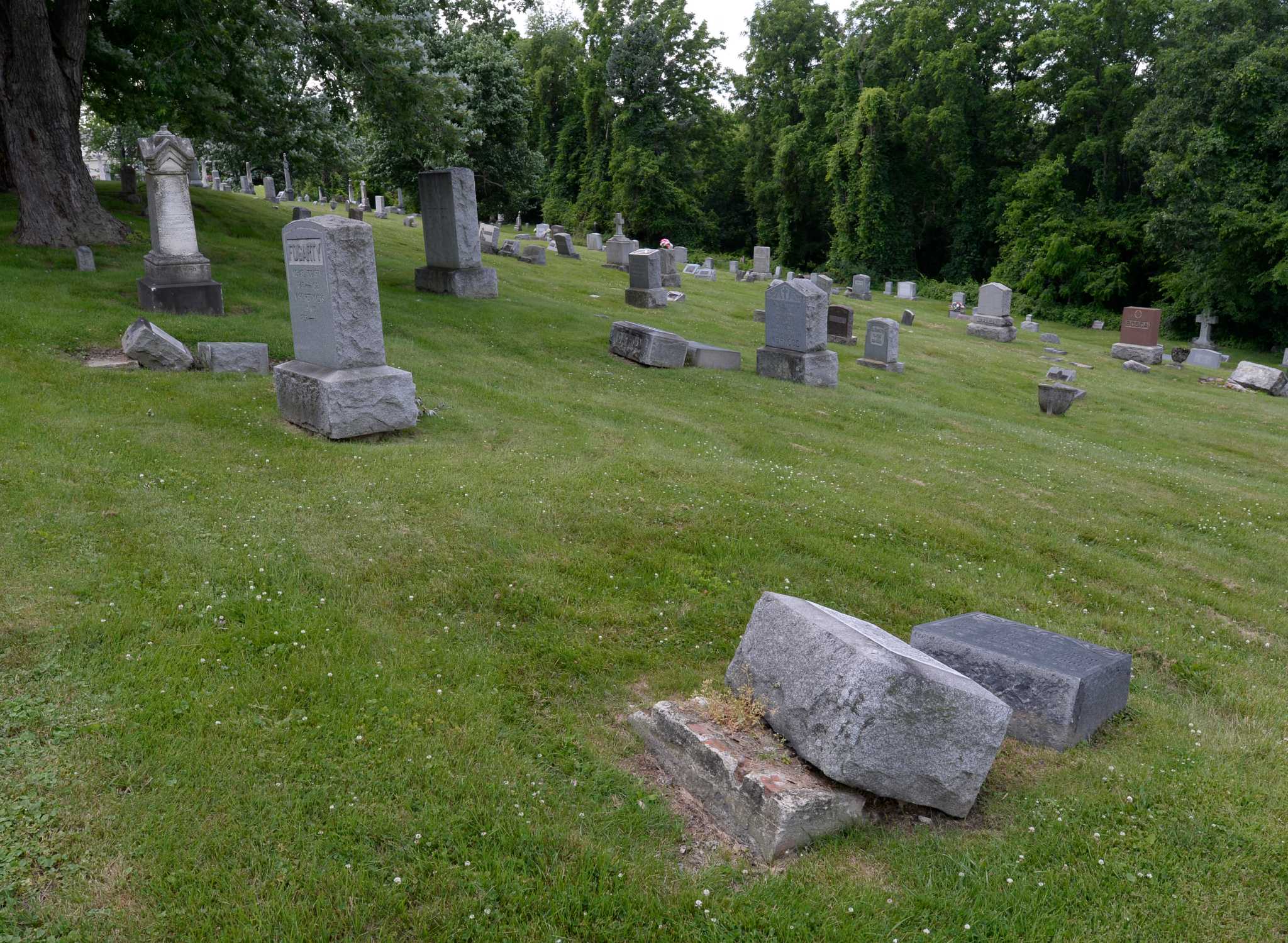 Mystery of the toppled gravestones in Troy