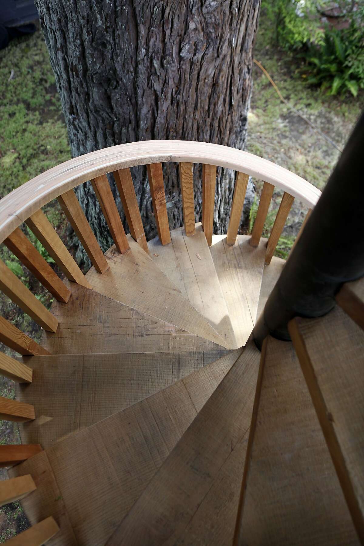 S.F.'s Jay Nelson builds tree houses as works of art
