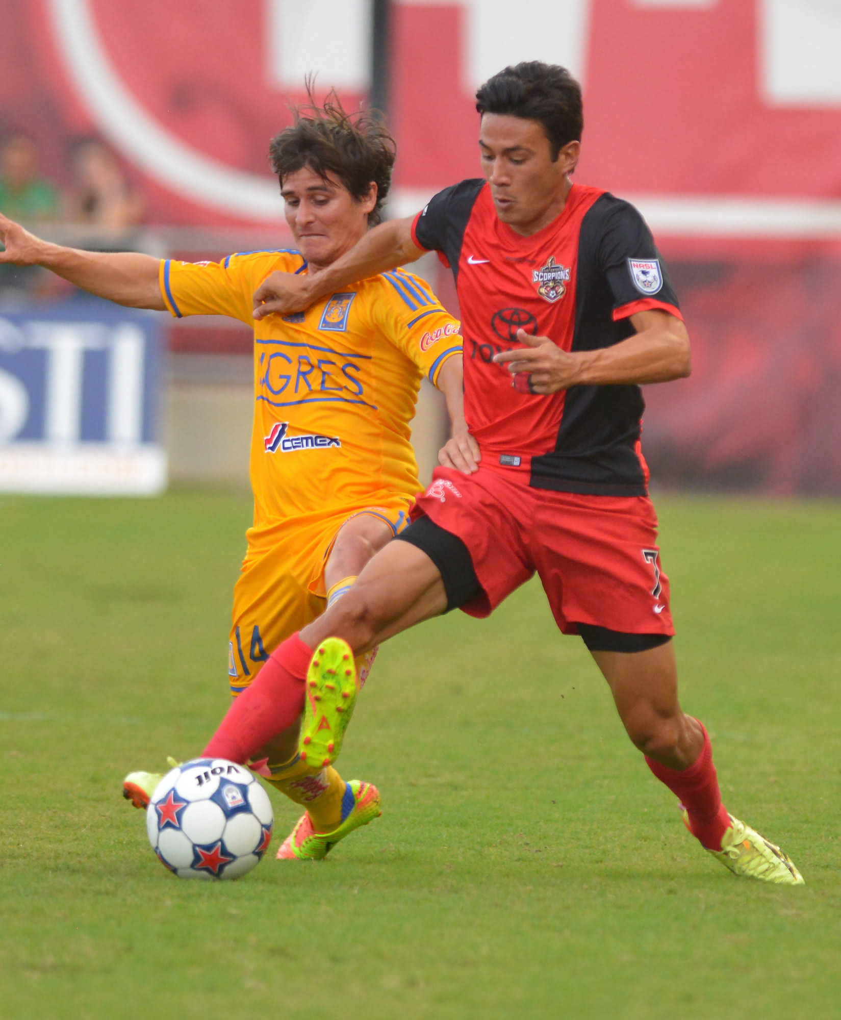 Scorpions wage battle