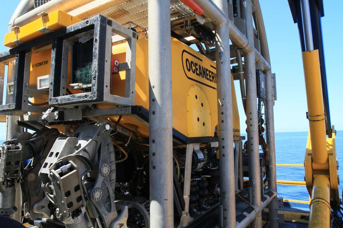 Oil workers spot 'flying spaghetti monster' lurking off the Angola coast