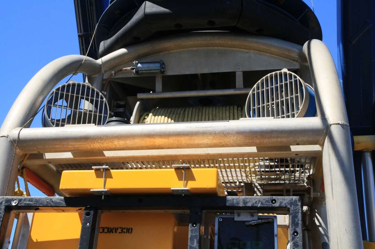 Oil workers spot 'flying spaghetti monster' lurking off the Angola coast