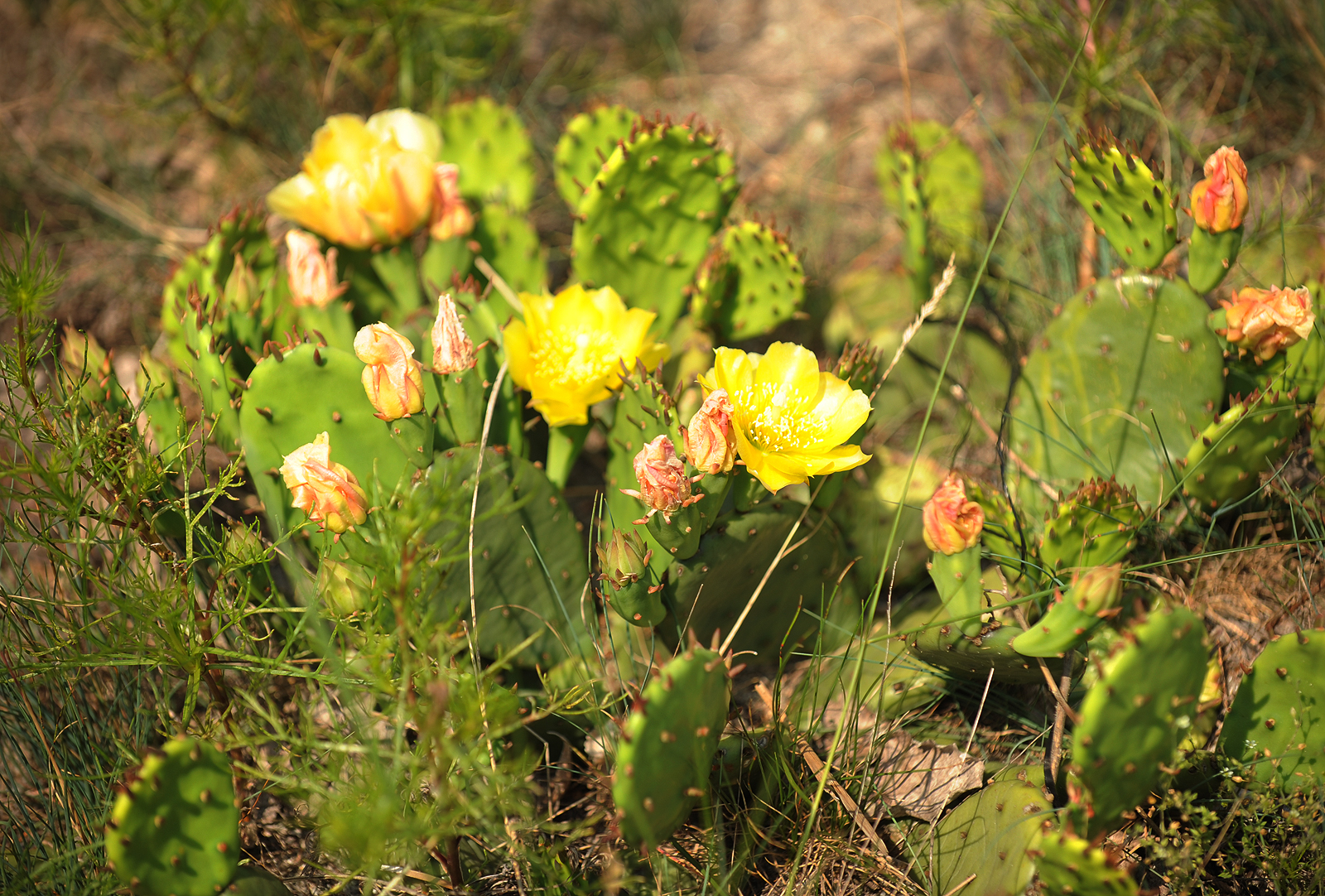 25 things to do this weekend in Connecticut, April 8 - April 10