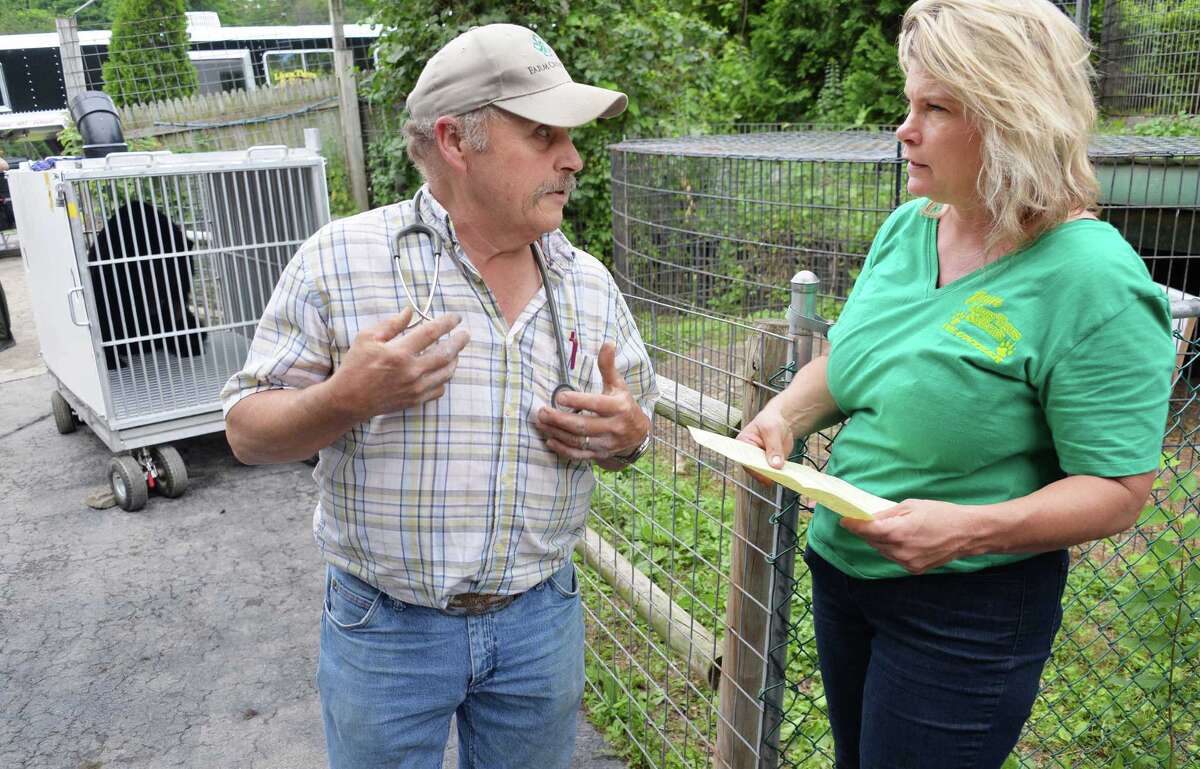Albany's doomed bear sparks rescue in Greenwich