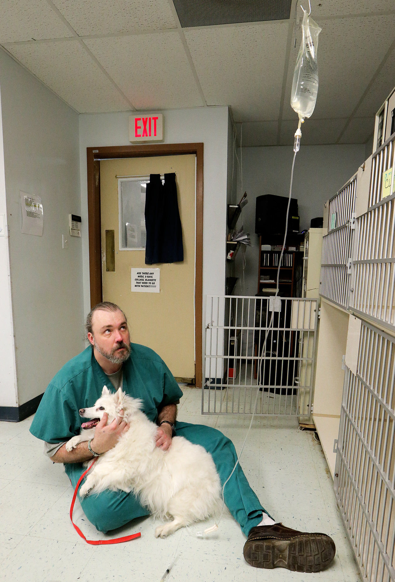 Animal ER offers hope, caring to injured animals
