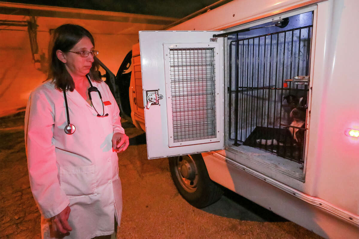Animal ER offers hope, caring to injured animals