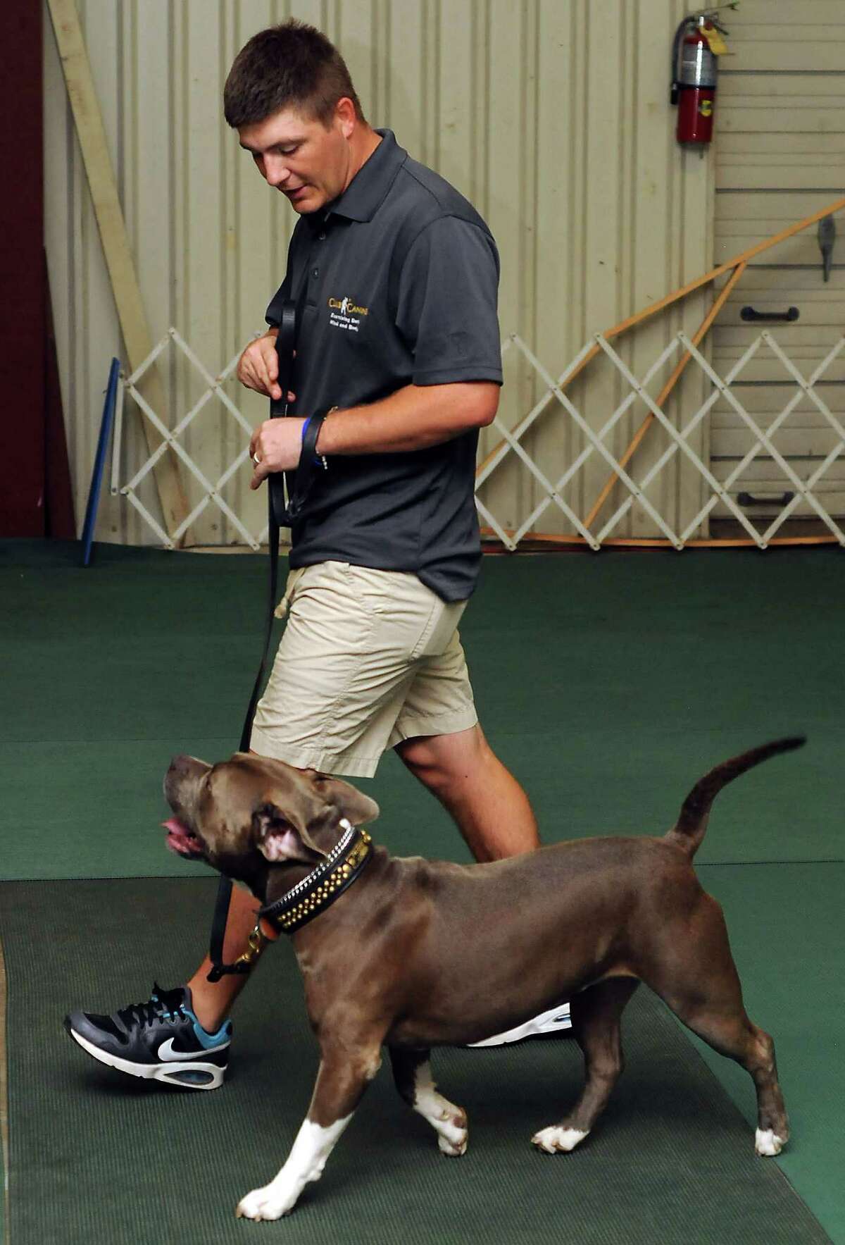 New Woodlands charity pairs pit bulls with disabled vets