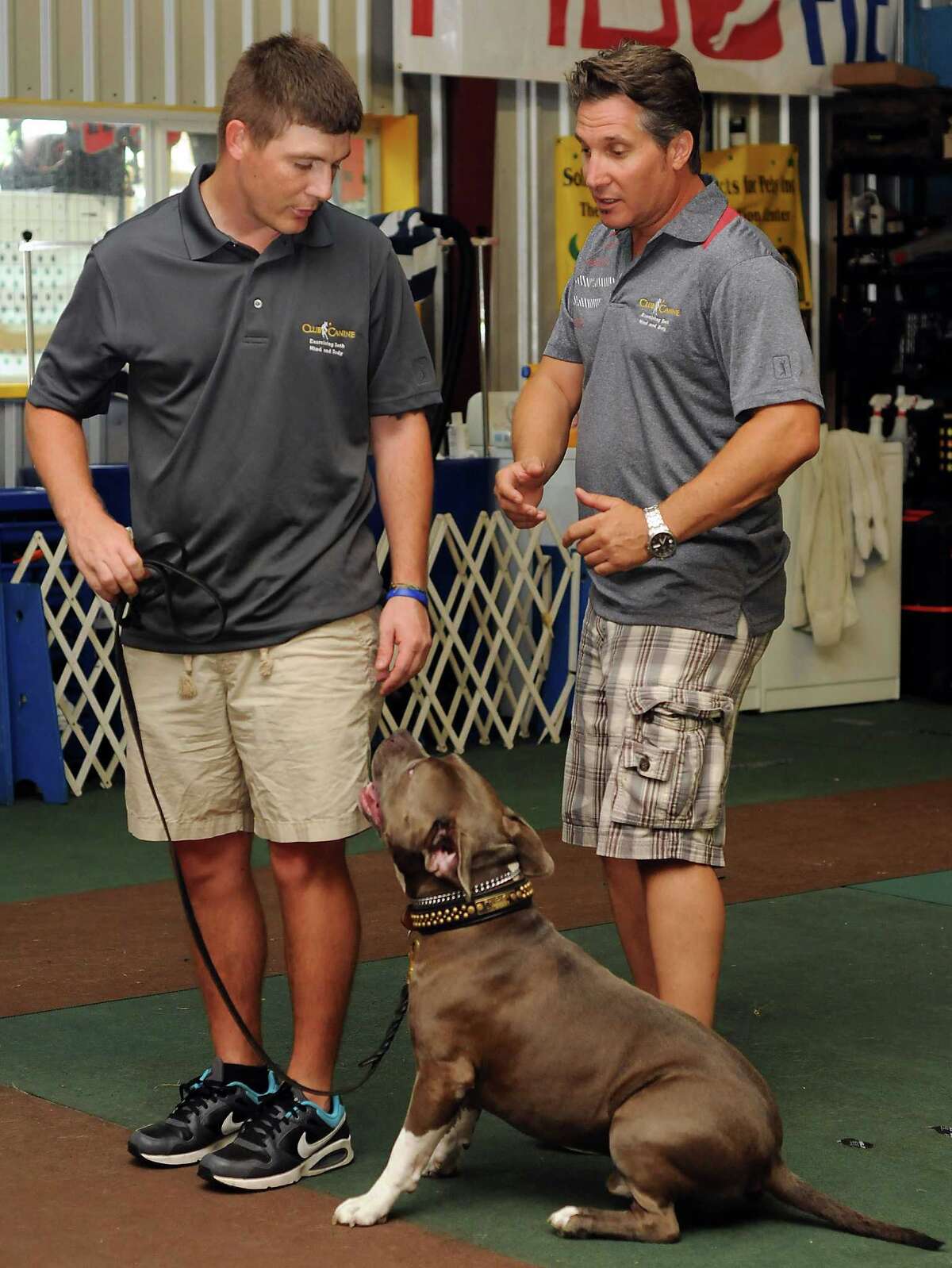 New Woodlands charity pairs pit bulls with disabled vets