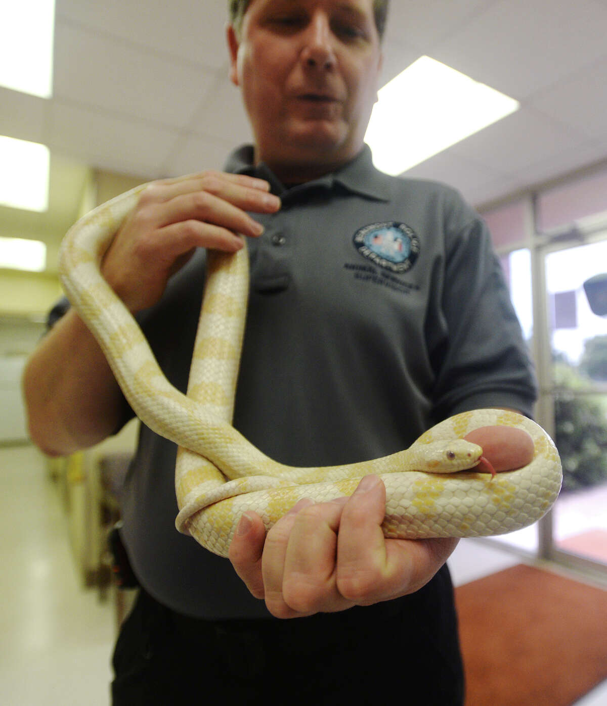 How to ID SE Texas' venomous snakes