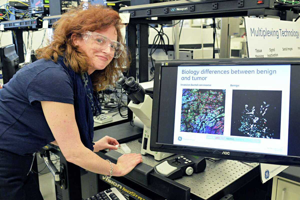 GE Global Research delves into the brain