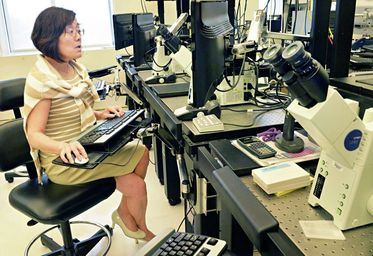 GE Global Research delves into the brain