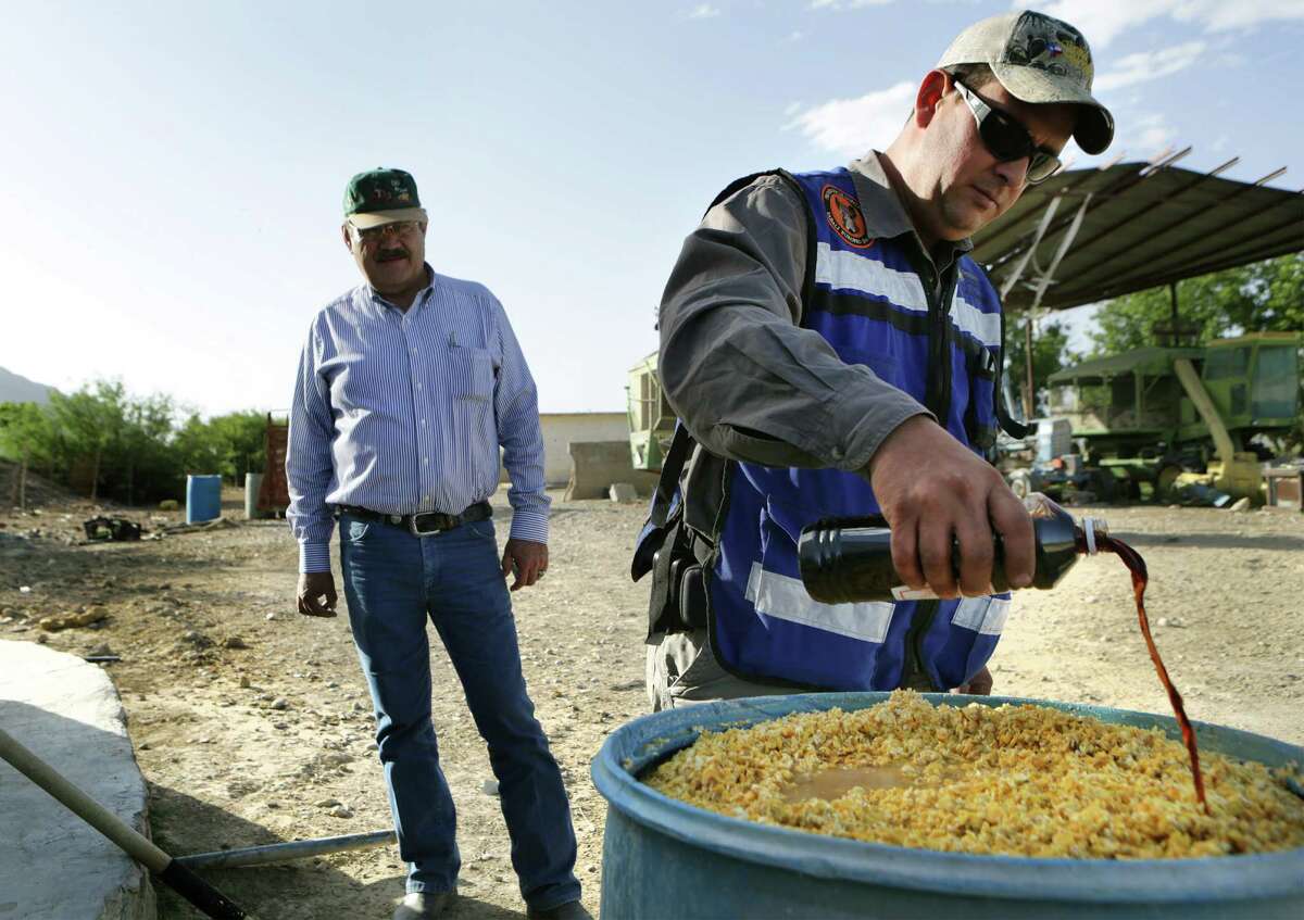 'Hog apocalypse': Texas Ag Commissioner approves killing feral hogs with poison