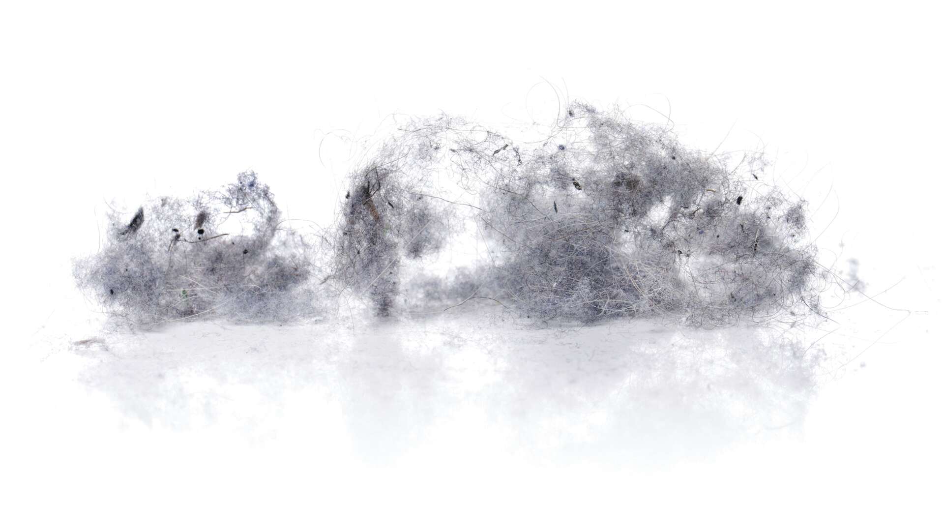 Betsy Bitner: No wrong reply to dust bunny quiz here