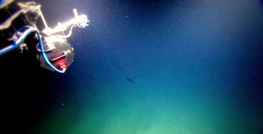 Deep sea explorers treated to rare Gulf sighting of Vampire Squid of ...