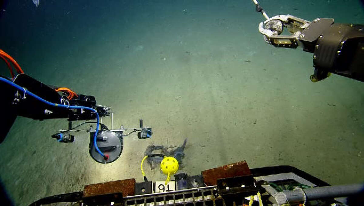 Deep sea explorers treated to rare Gulf sighting of Vampire Squid of Hell