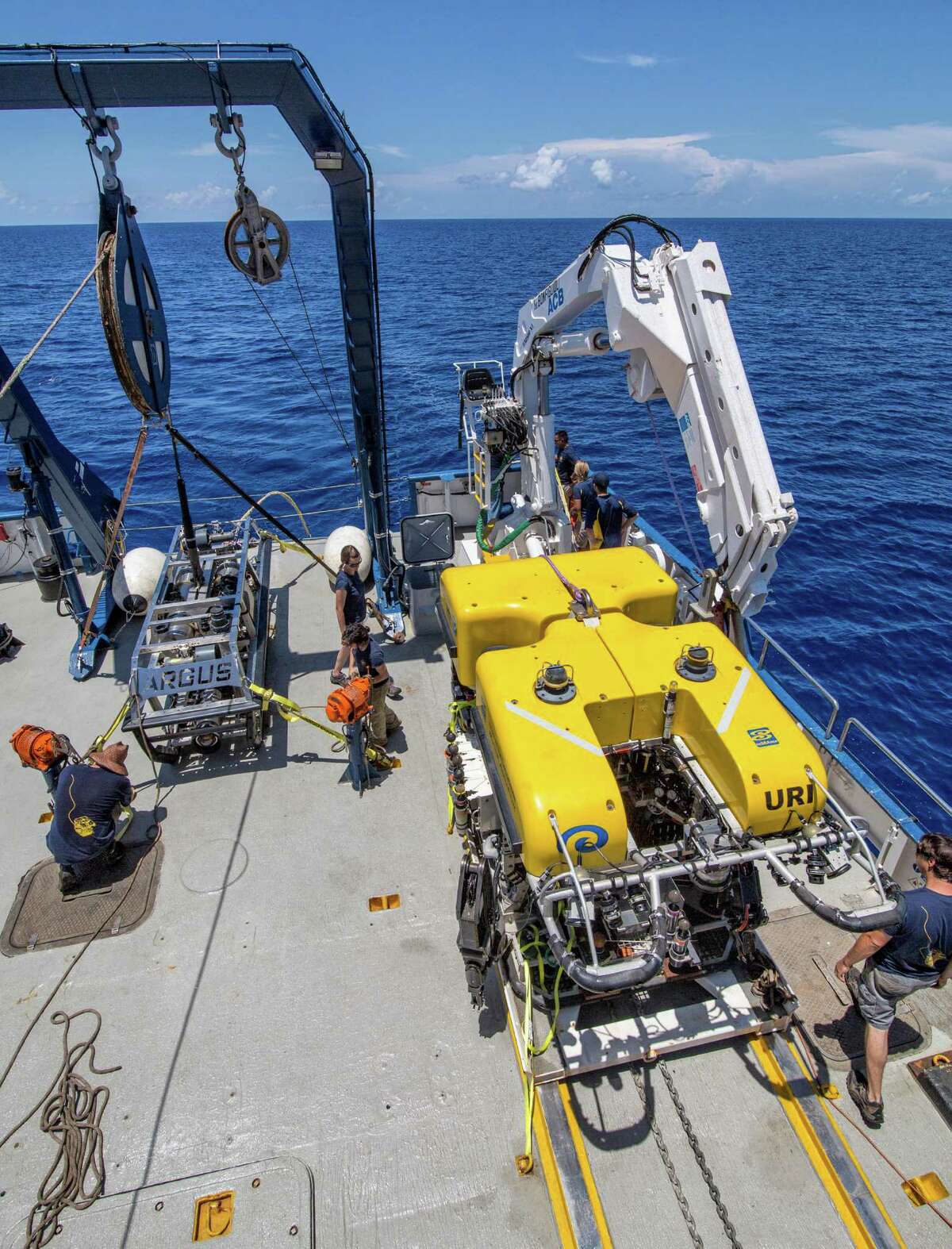 Deep sea explorers treated to rare Gulf sighting of Vampire Squid of Hell