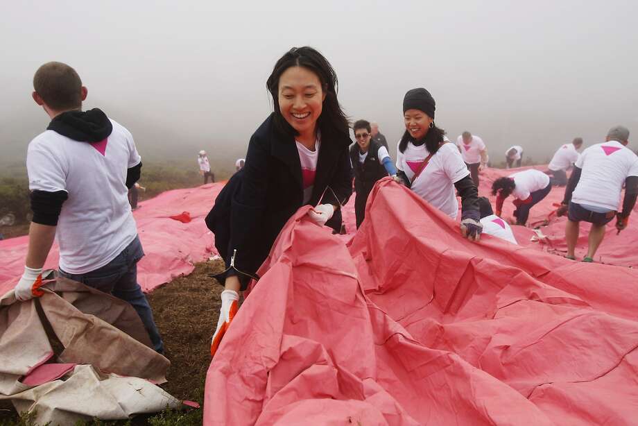 Pink Triangle installed on Twin Peaks for S.F. Pride 2014 - SFGATE
