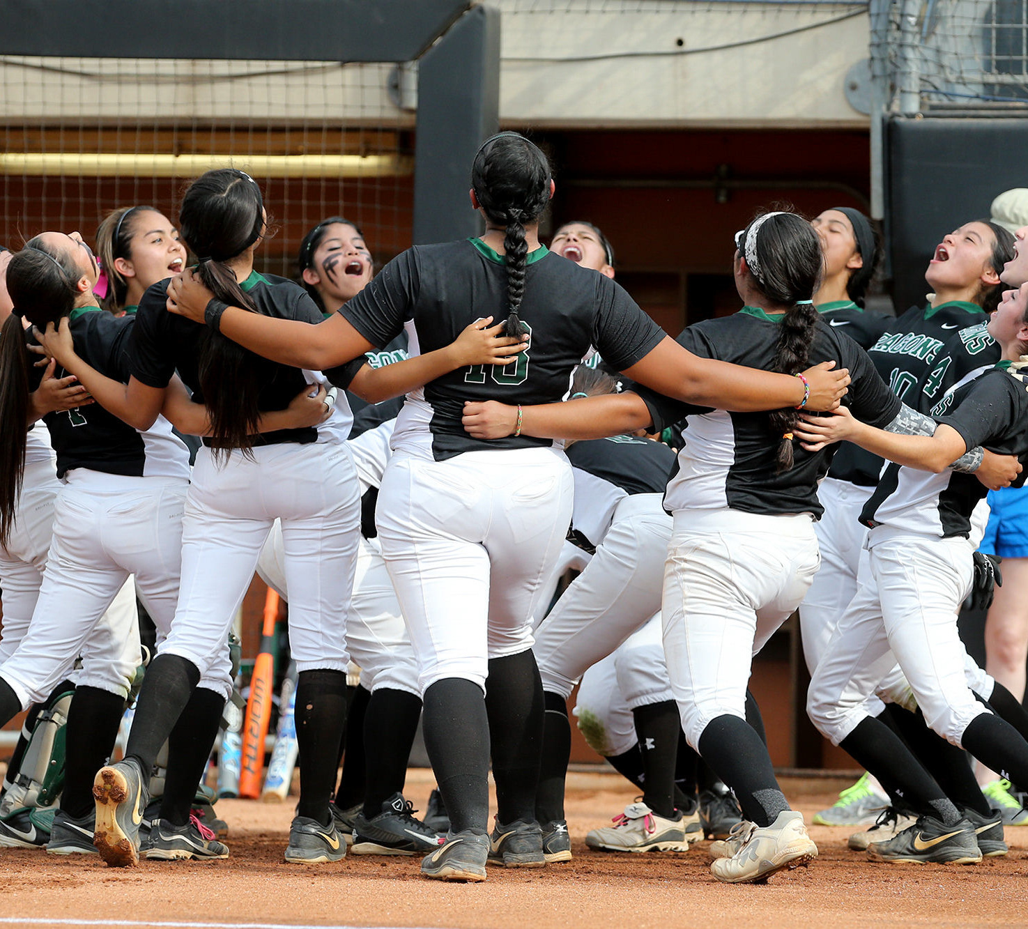 Dan Cook Cup: Girls story of the year — Southwest softball