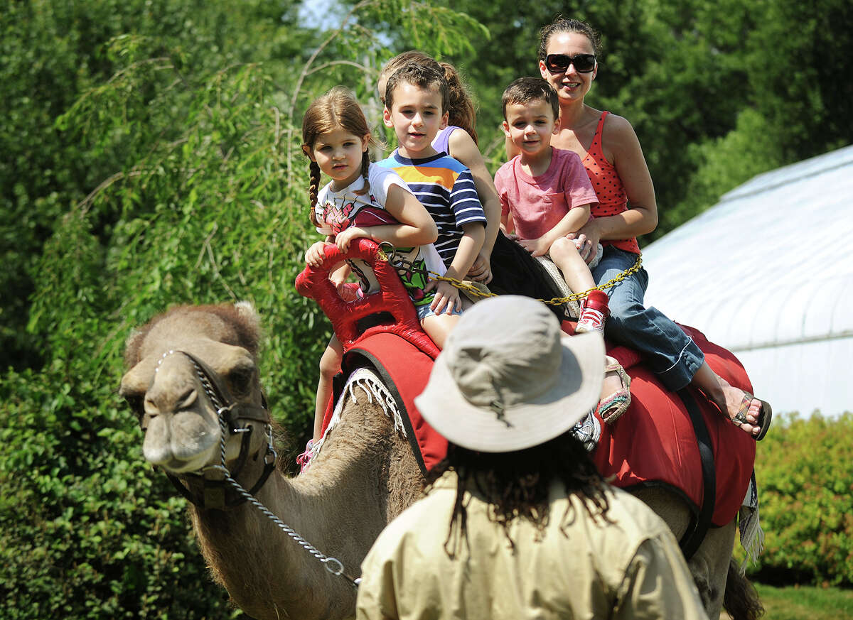 The Weekend in Photos, June 27-29, 2014