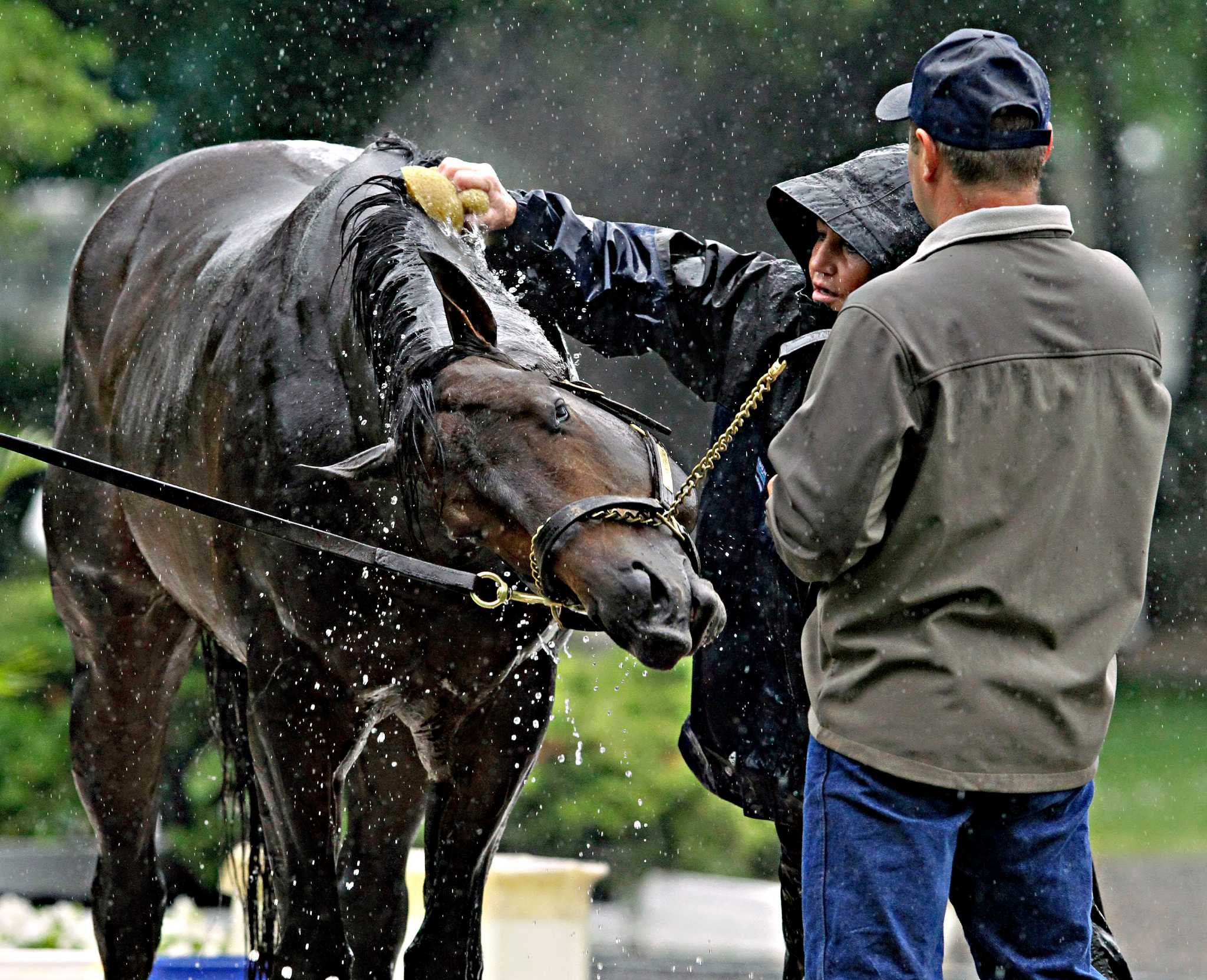 Ride on Curlin will skip Spa meet