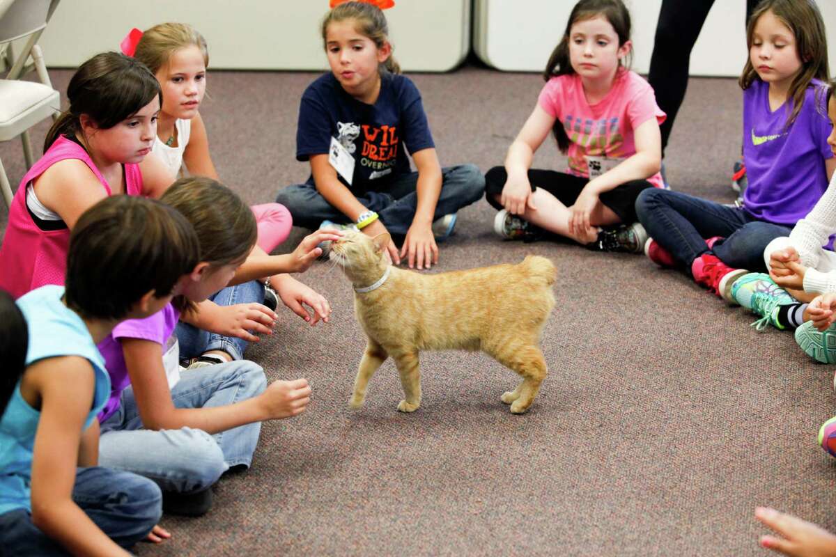 Local kids learn about rescued animals during the Houston SPCA Critter Camp