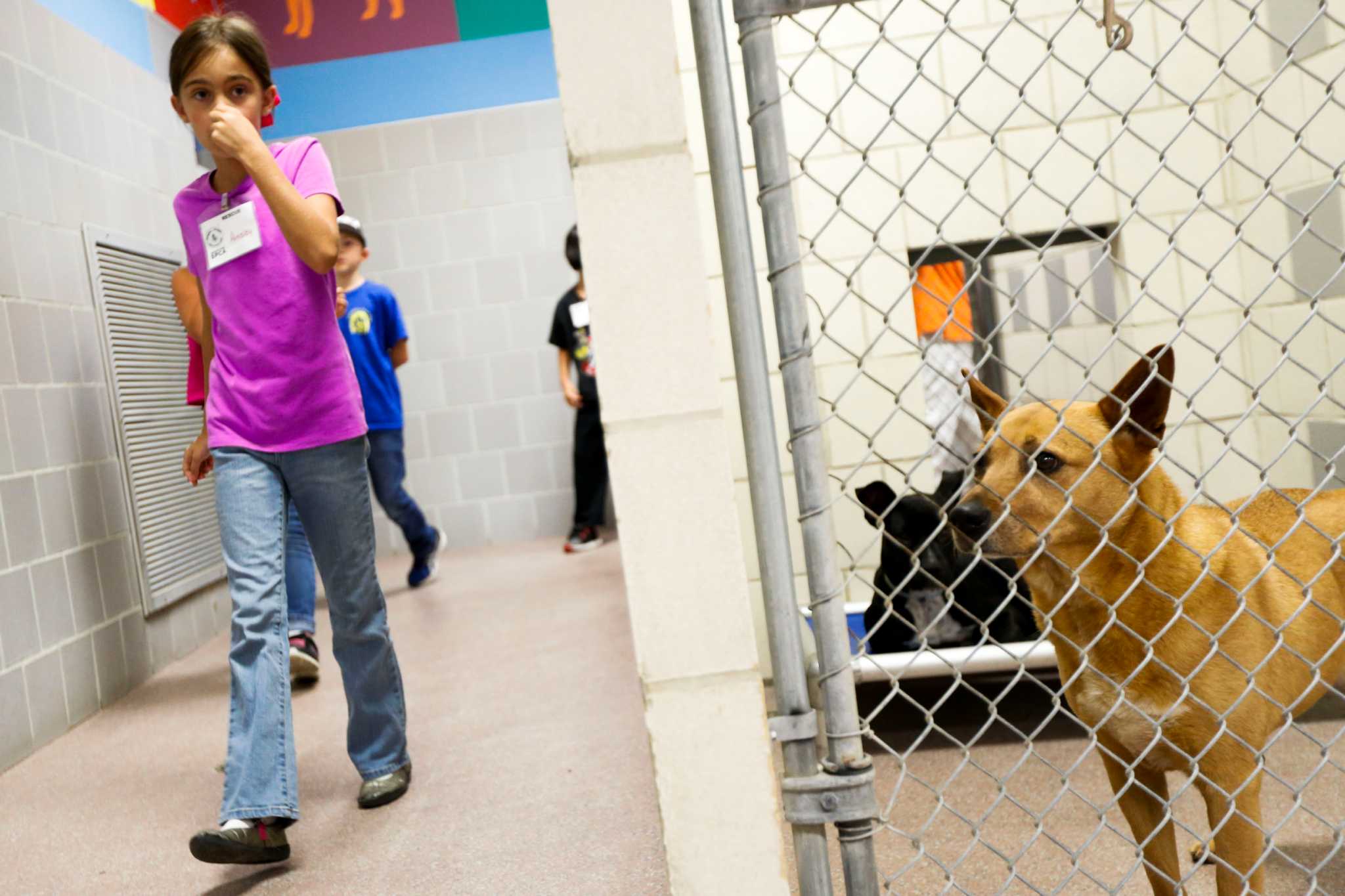 Summer campers get hands on at SPCA's Critter Camp