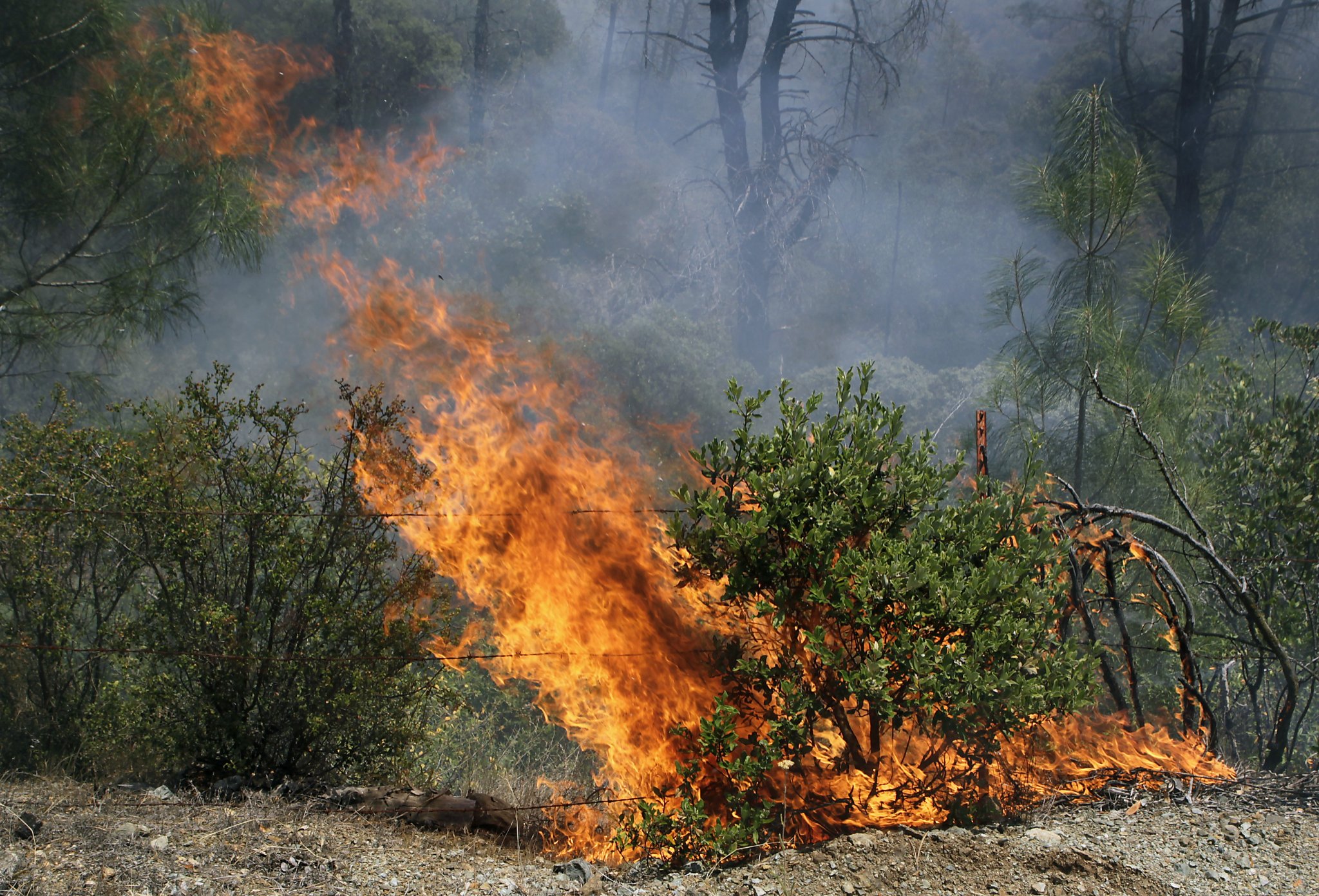 As hundreds flee, Napa fire intensifies fears of devastating dry season ...