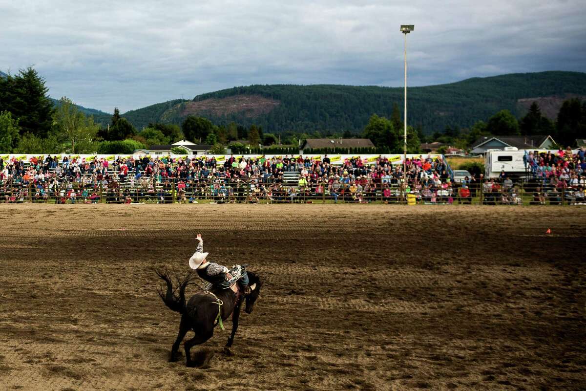 Americana's finest: Sedro-Woolley Rodeo 2014