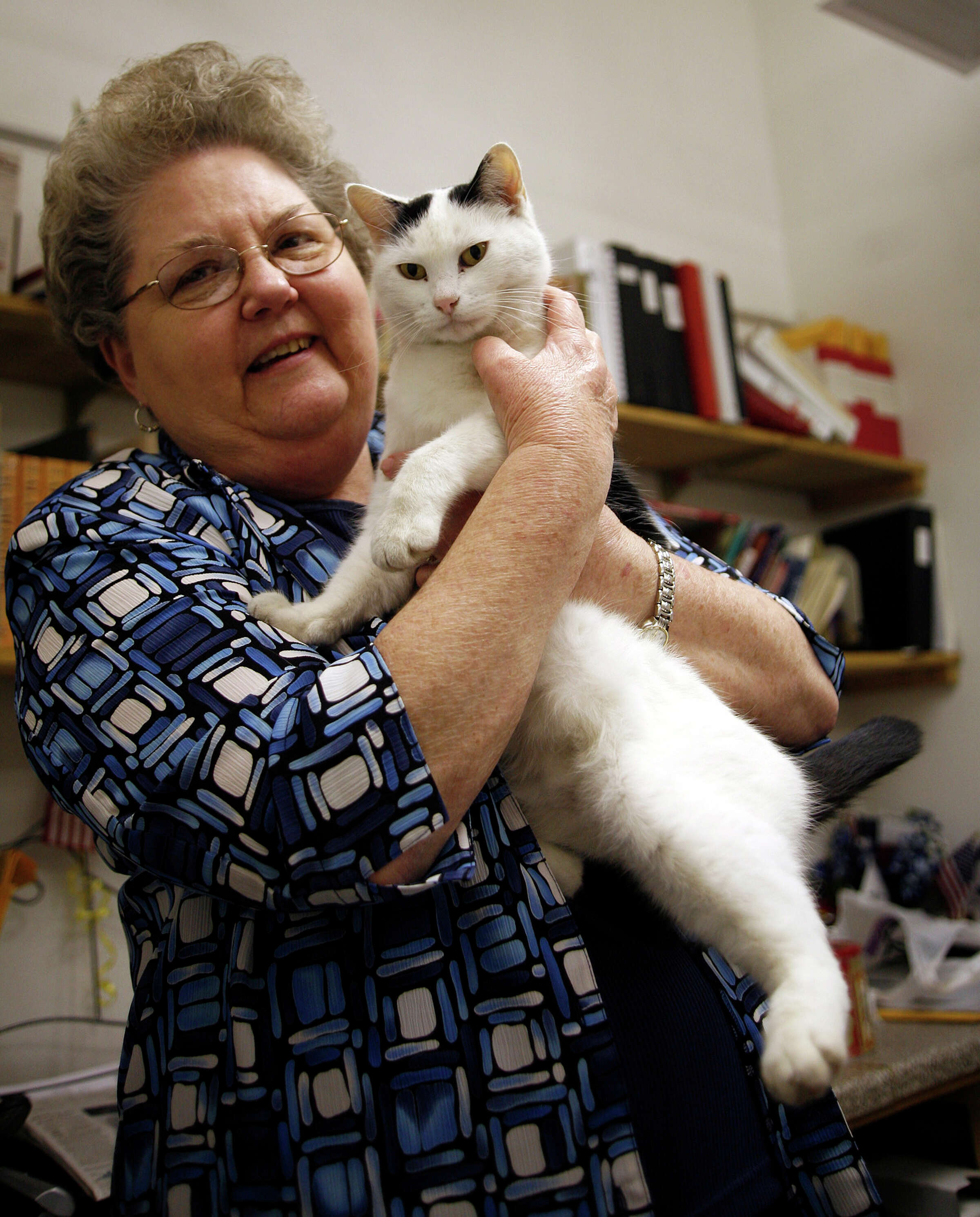Alamo's official cat dies