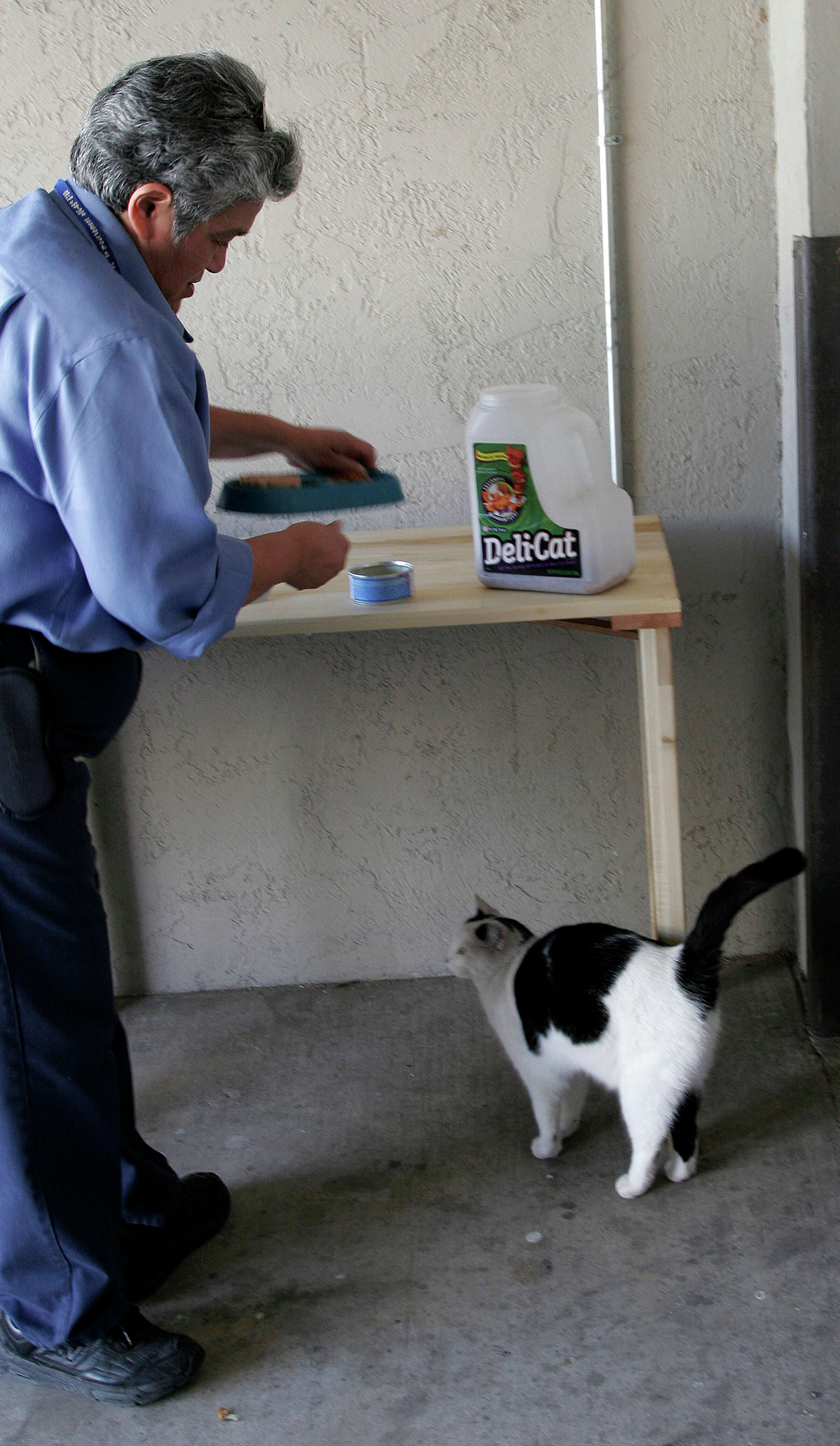 Alamo's official cat dies