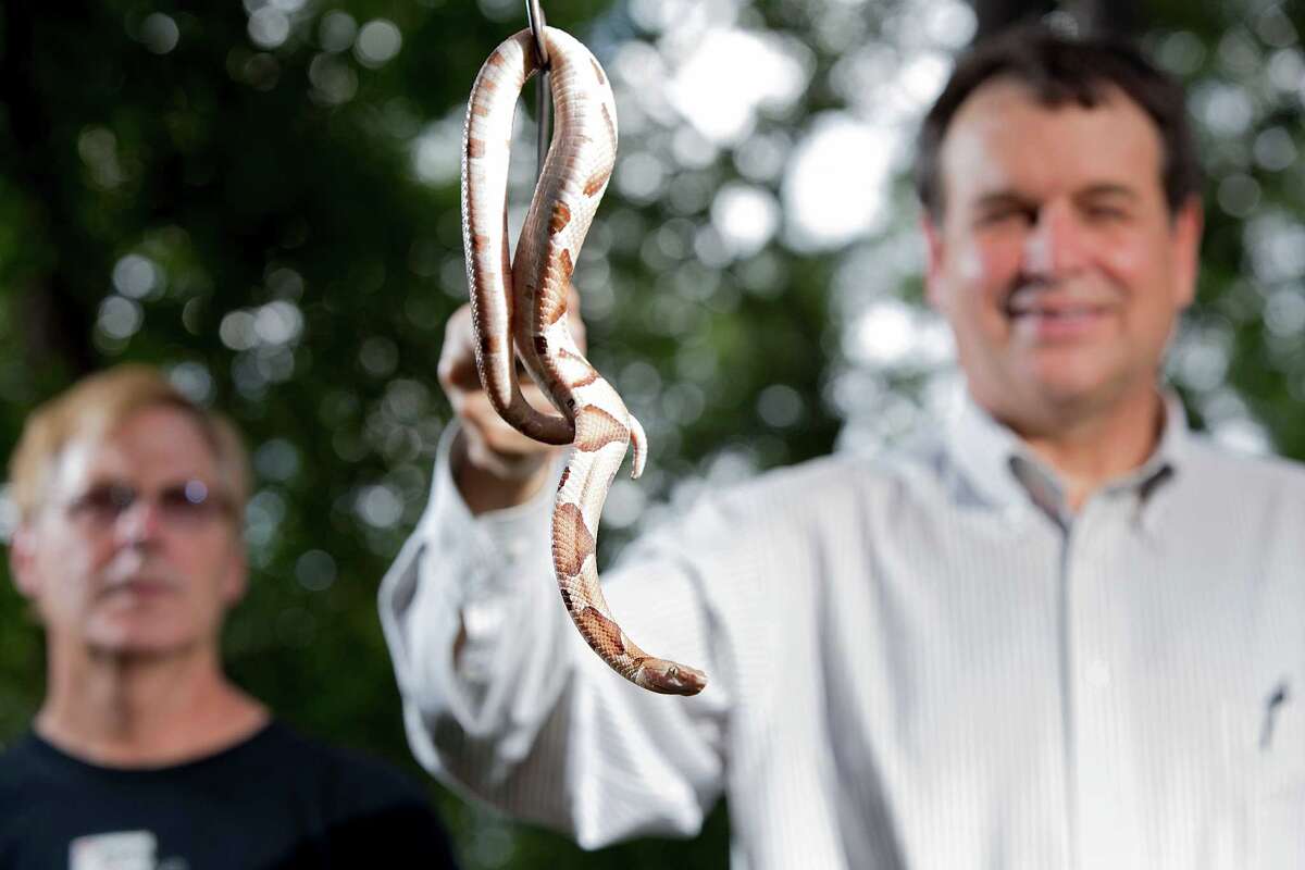 Family discovers new home overrun by venomous snakes