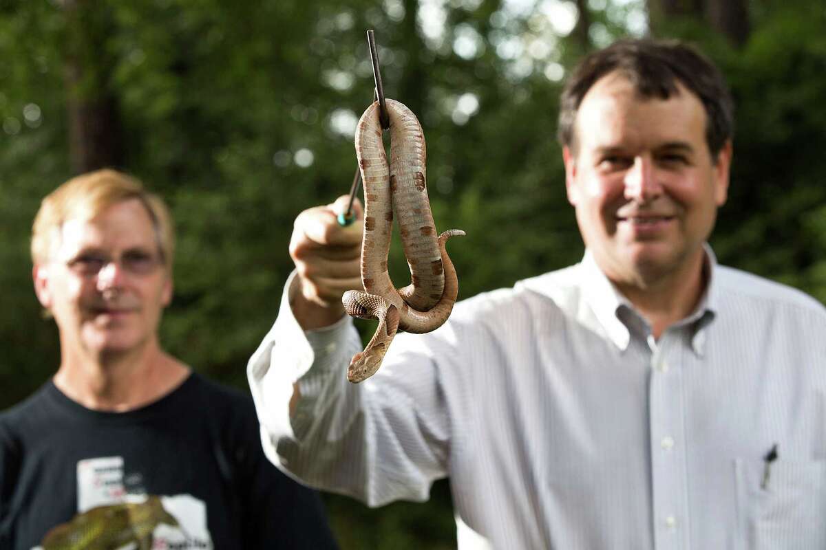 Family discovers new home overrun by venomous snakes