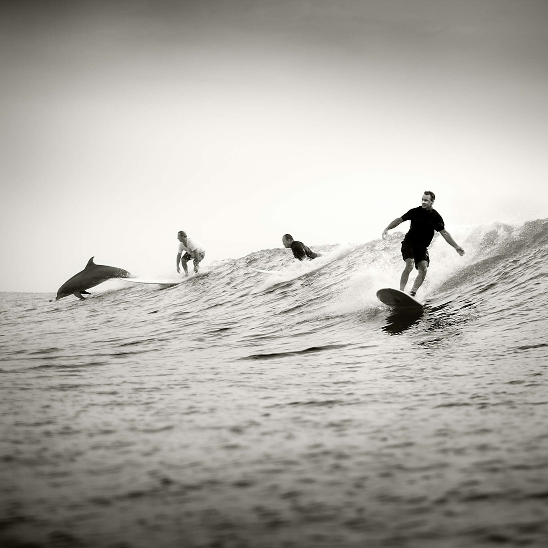 Texas' best surf spots