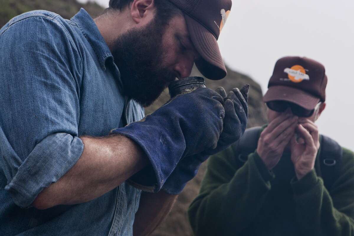 Juniper Ridge makes Coastal California fragrances the natural way