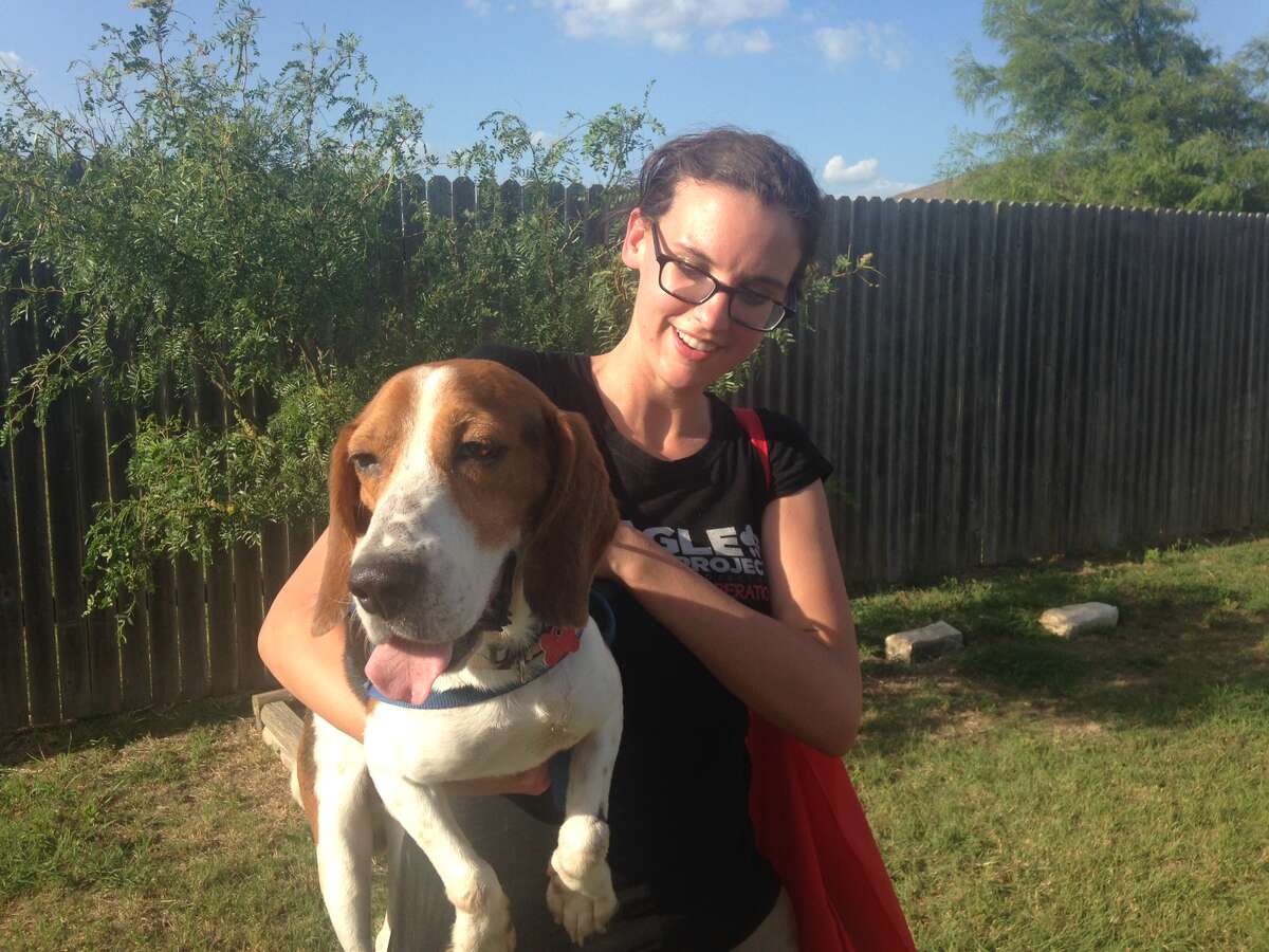 Beagles rescued from South Texas laboratory, spend first day outside