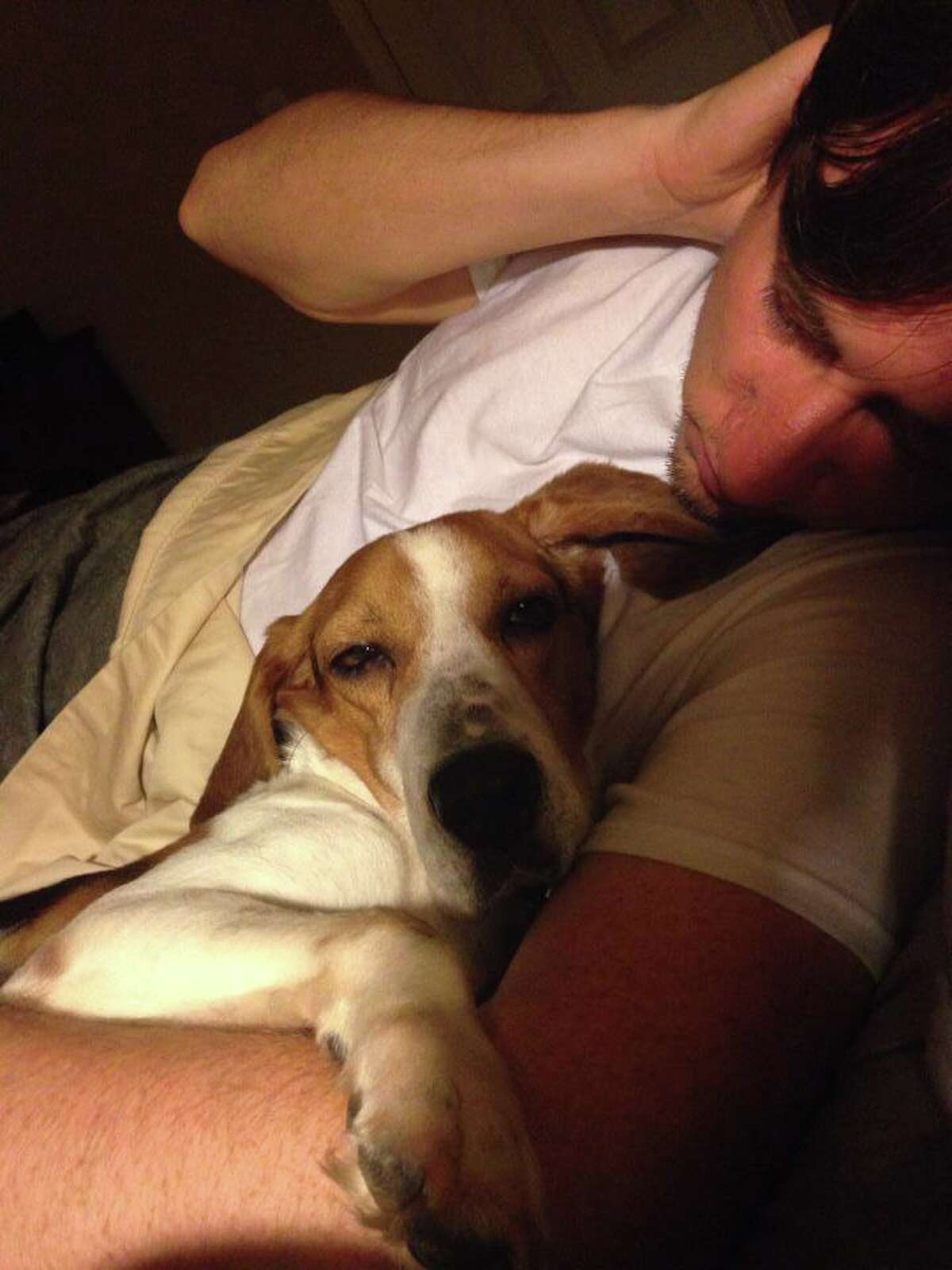 Beagles rescued from South Texas laboratory, spend first day outside