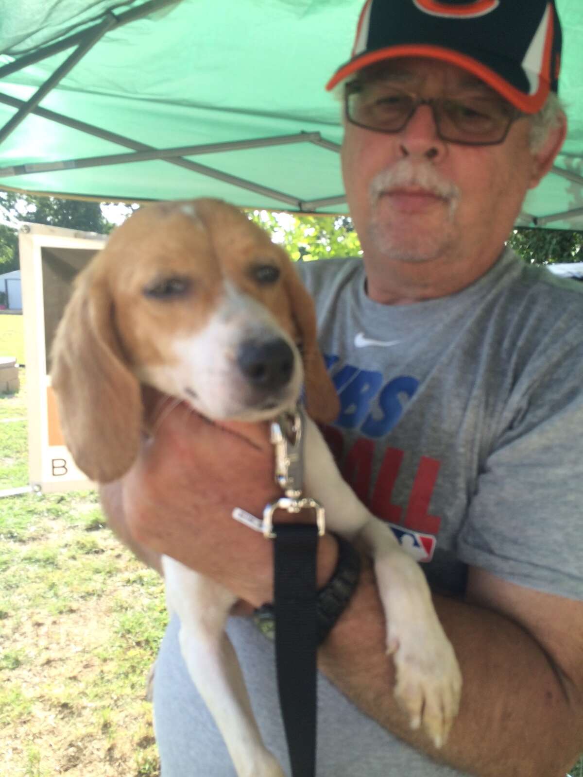 Beagles rescued from South Texas laboratory, spend first day outside