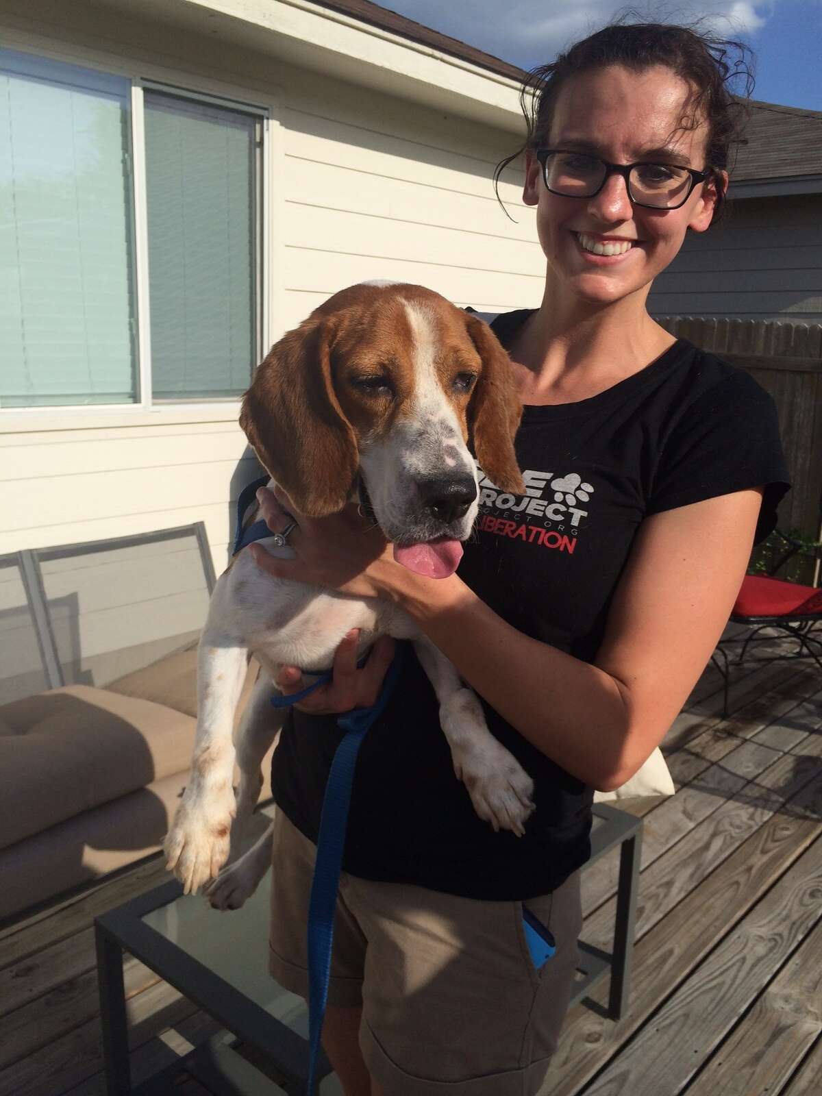 Beagles rescued from South Texas laboratory, spend first day outside