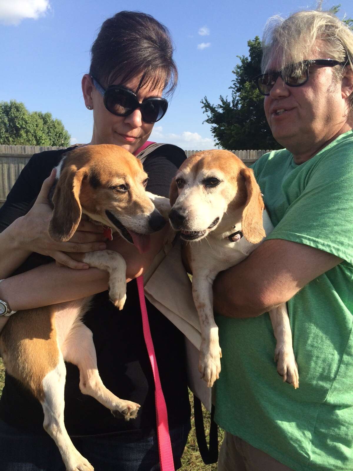 Beagles rescued from South Texas laboratory, spend first day outside