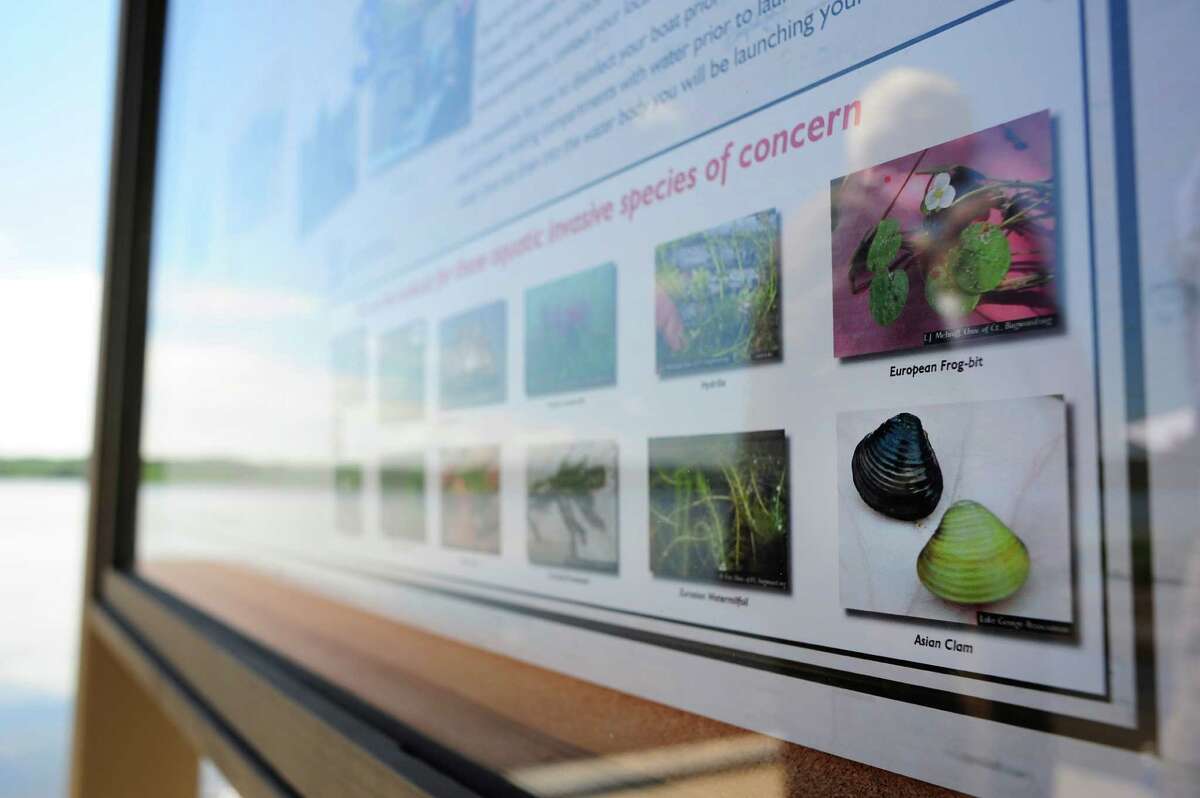 Photos: Battling lake invaders