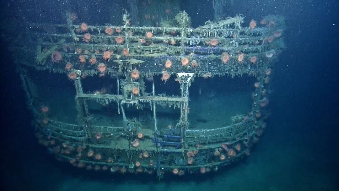 Gulf camera reveals site of WWII sinking of SS Robert E. Lee, German U-boat