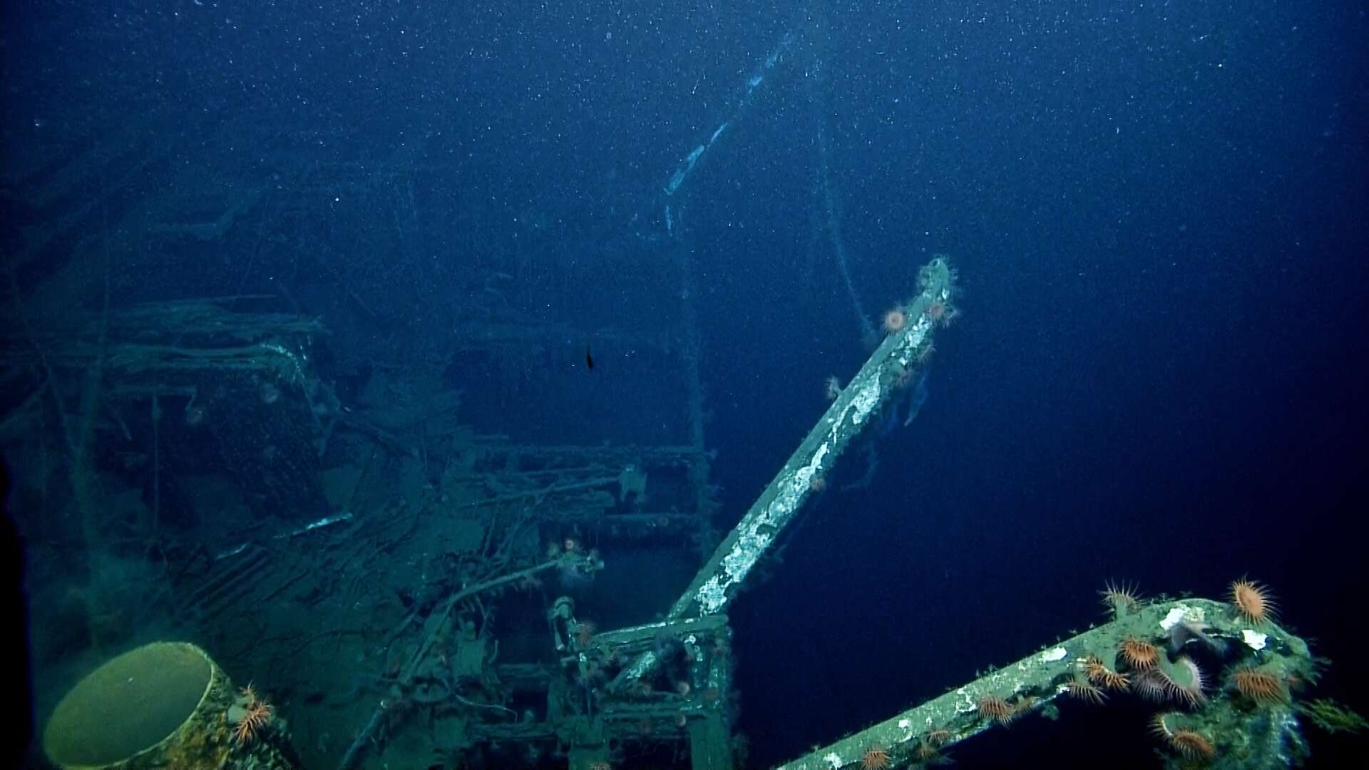 Gulf camera reveals site of WWII sinking of SS Robert E. Lee, German U-boat